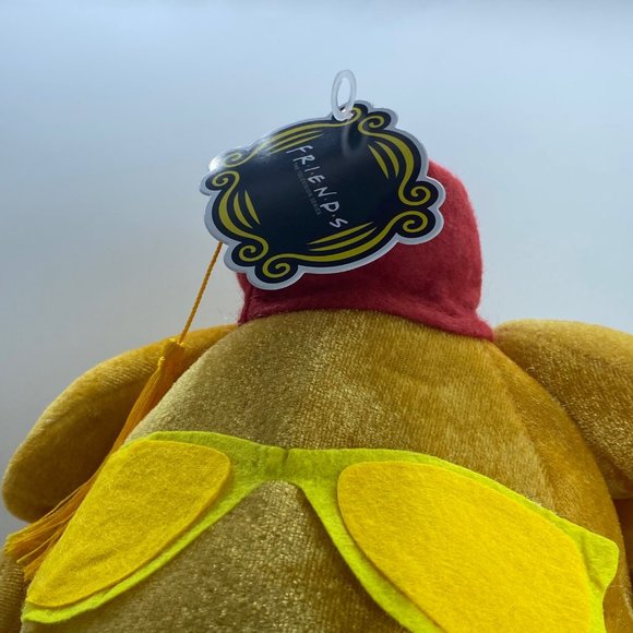 FRIENDS | Accessories | Friends Tv Show Turkey Hat Sunglasses Fabric ...